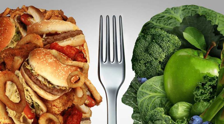 The Plant Based Protein Vs Animal Based Protein Debate