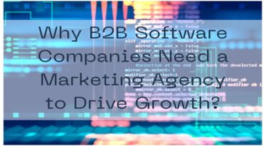 Why B2B Software Companies Need a Marketing Agency to Drive Growth?
