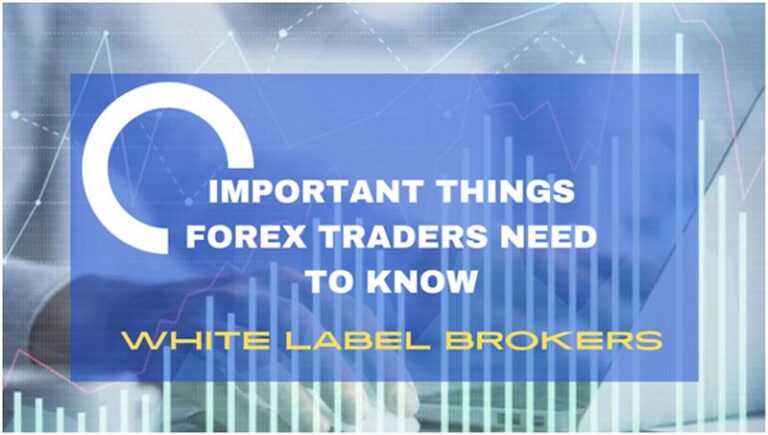 Important Things Forex Traders Need To Know About White Label Brokers