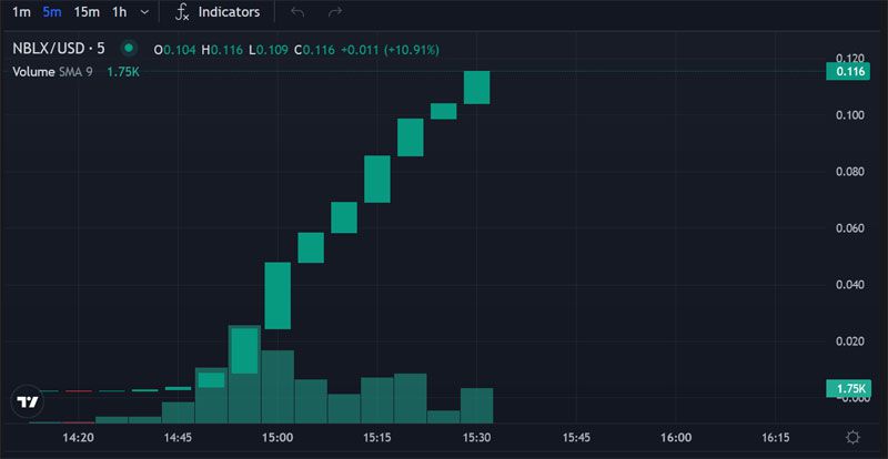 NebulaXplorer: A Close Examination of NebulaX Coin